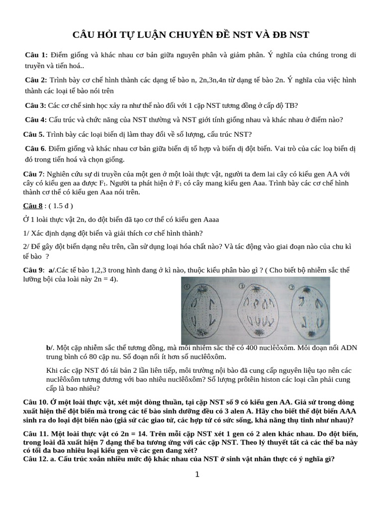 CH Tự Luận NST Và ĐB NST | PDF