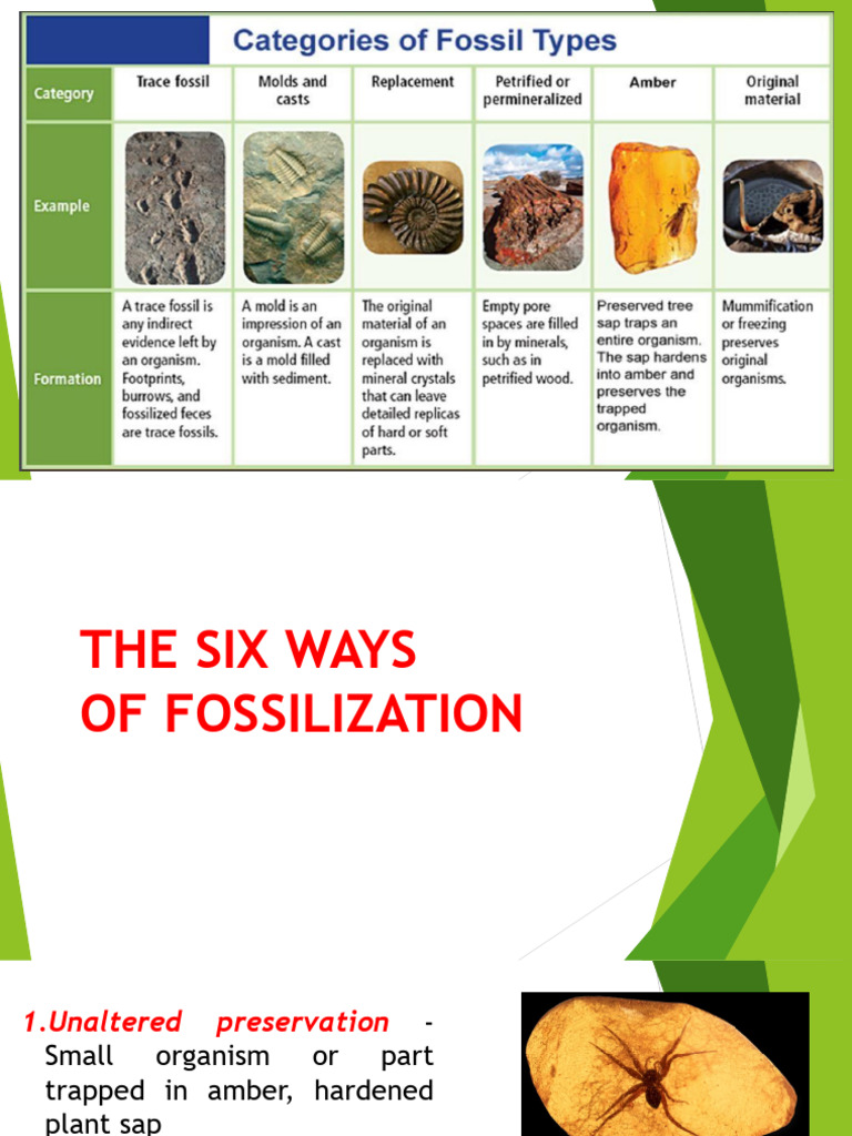 7GEOLOGIC-TIMESCALE-2 (1) | PDF | Fossil | Geology