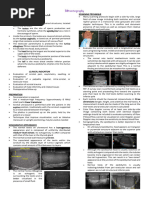 Lec 8-Normal Scrotal Ultrasound | PDF | Testicle | Anatomy
