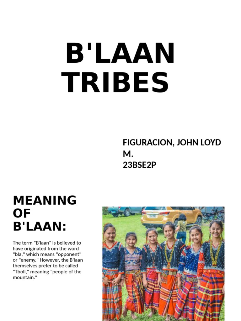 Blaan Tribes Wps Office | PDF | History | Religion & Spirituality