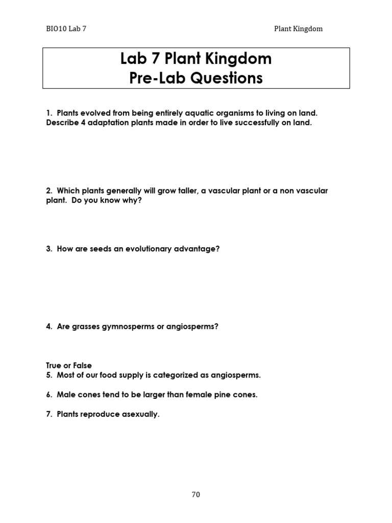 Plant Kingdom Lab Overview | PDF | Plants | Botany