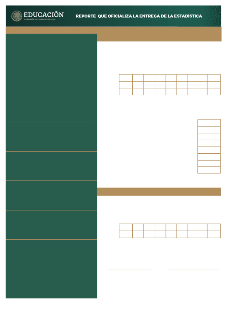 C911_ComprobanteCaptura_20241018 | PDF