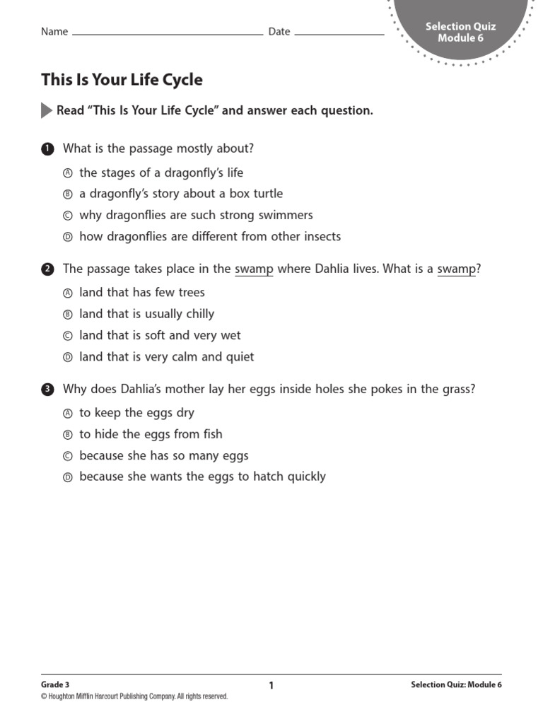 Life Cycle Quiz for Grade 3 Students | PDF
