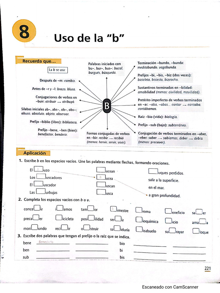 Práctica B V | PDF