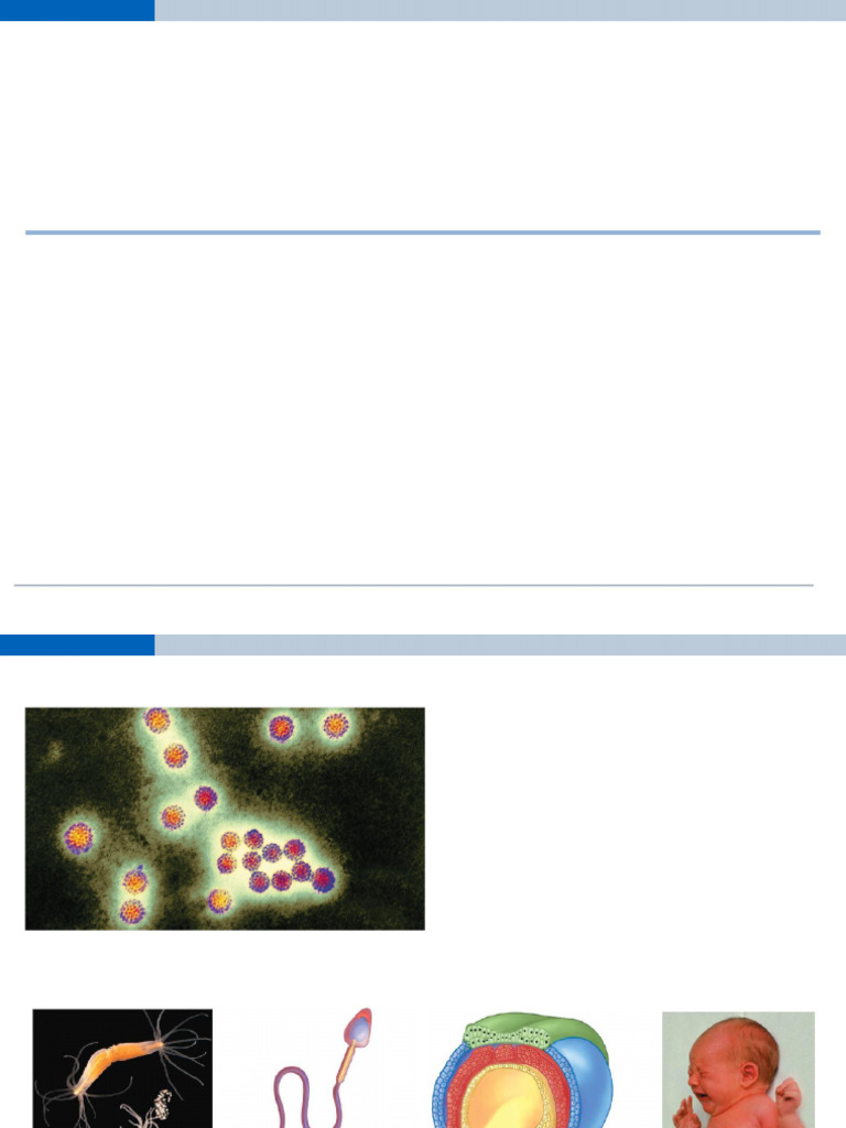 생물학_10072024 | PDF | Sexual Reproduction | Embryo