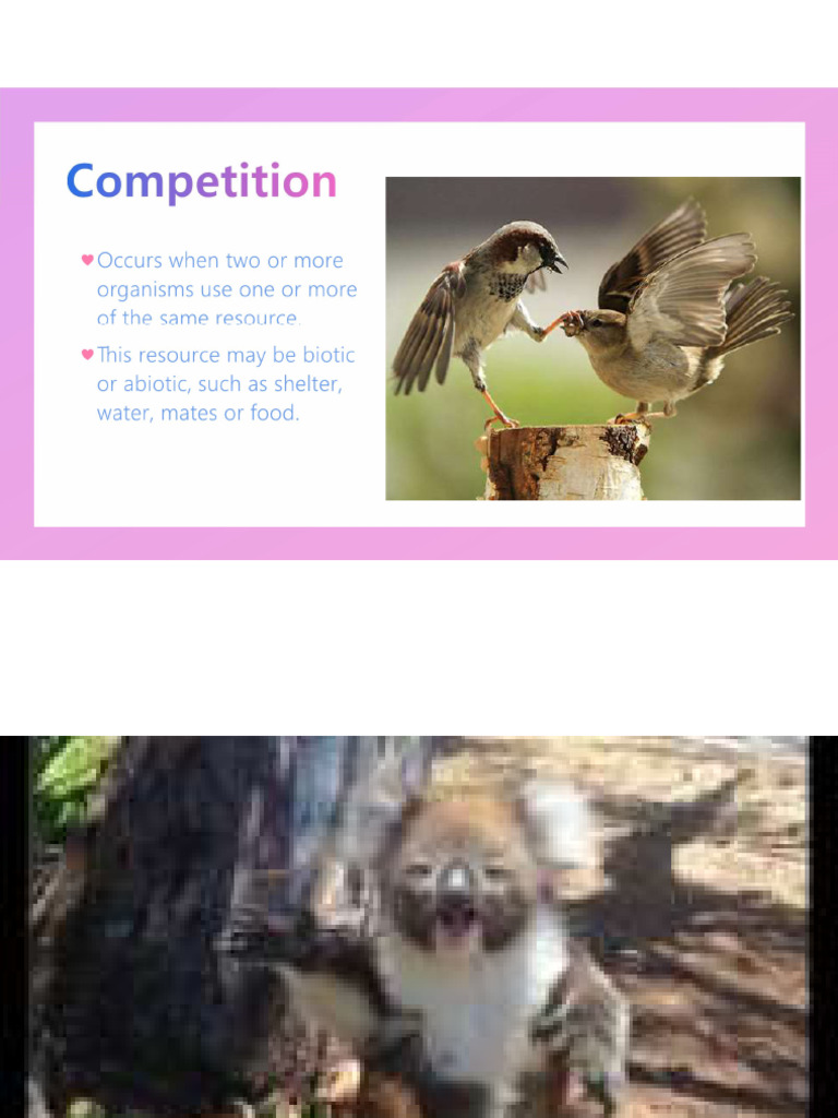 Lesson 2 - Biotic Factors - Competition and Symbiosis | PDF