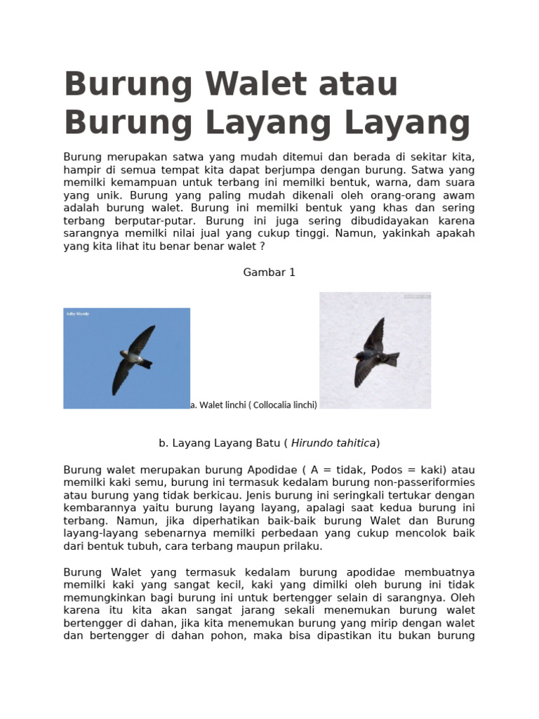 1.0 Burung Walet Atau Burung Layang Layang | PDF
