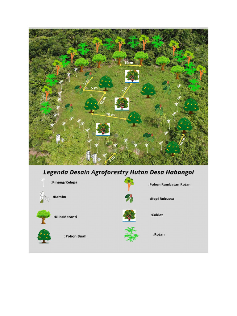 Desain Pola Agroforestry HD Habangoi | PDF