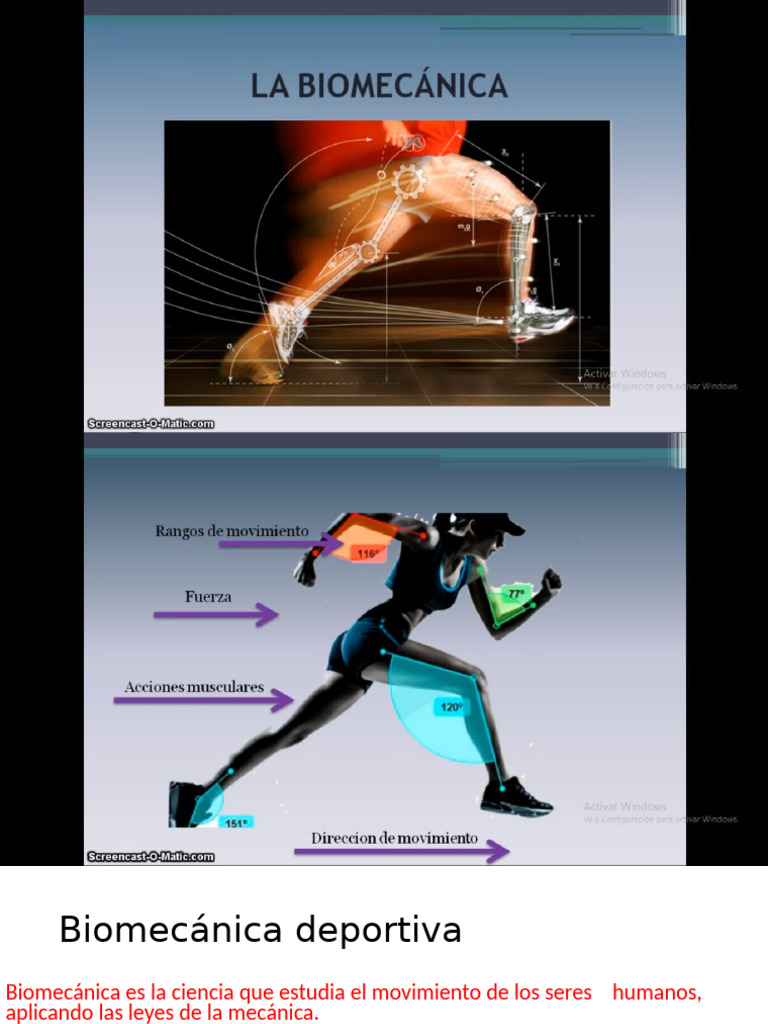 Biomecanica, Palancas-Torque 2 | PDF | Esfuerzo de torsión | Fuerza
