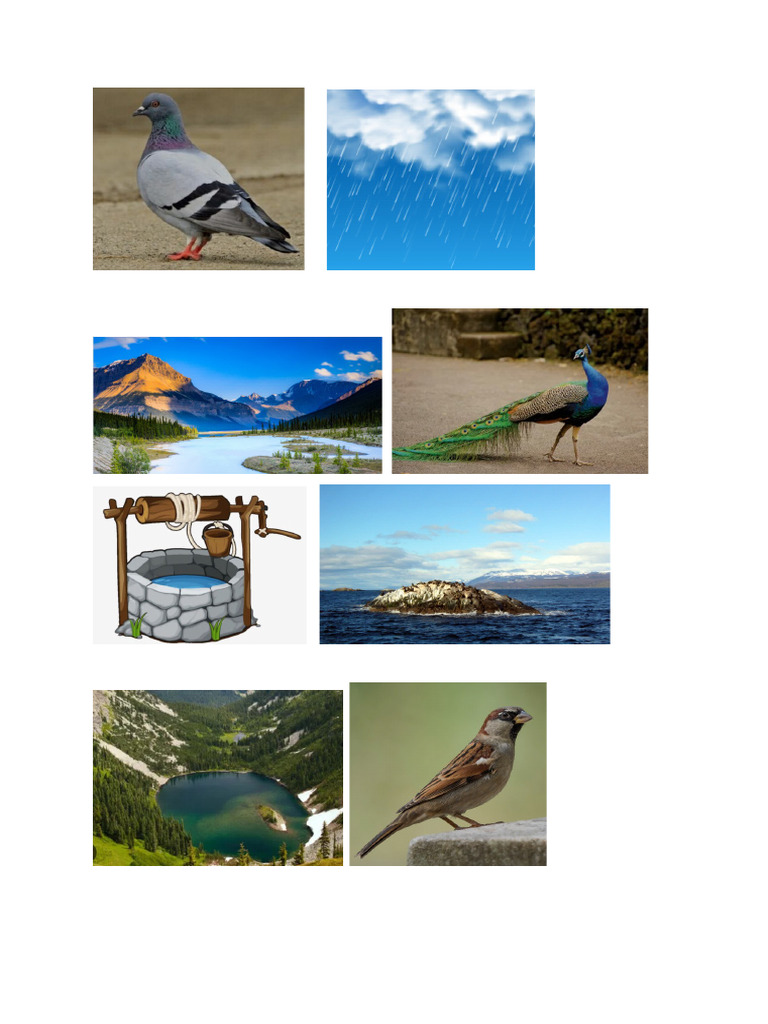 Print Out | PDF