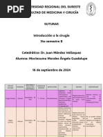 CUADRO SUTURAS (Absorbibles y No Absorbibles) | PDF