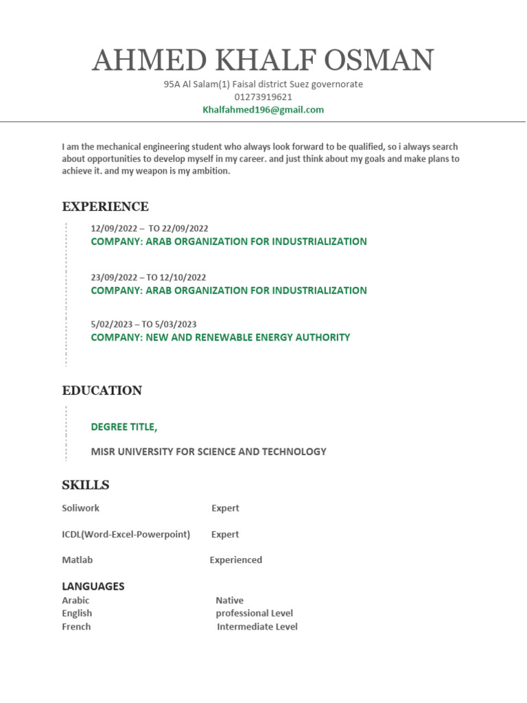 Ahmed Khalf Osman (CV) | PDF | Computers | Technology & Engineering