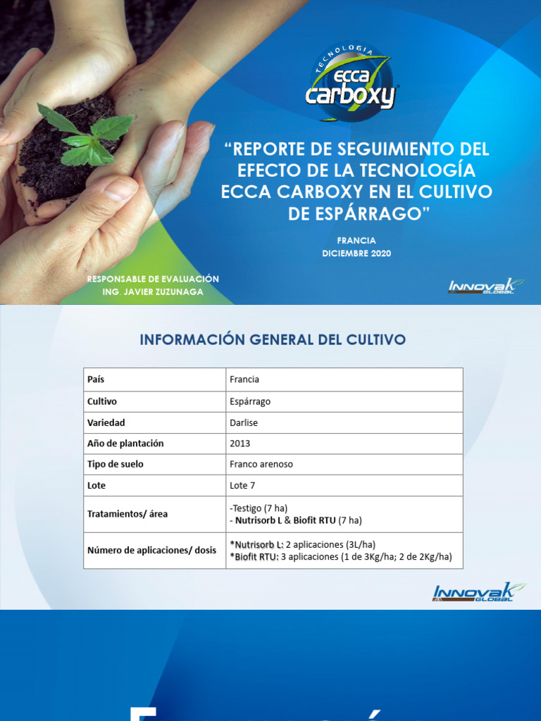 2020 12 Reporte de Seguimiento Del Efecto de La Tecnologia Ecca Carboxy en El Cultivo de ...
