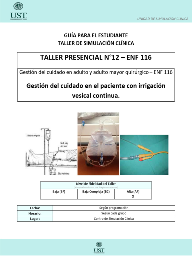 Httpsaulasvirtuales - Santotomas.clpluginfile - Php7041811mod foldercontent0SEM2010.20Taller2012 ...