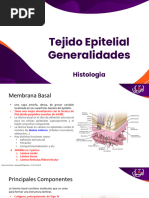 05 Tejidos Epiteliales III Especializaciones Del Dominio Basolateral ...