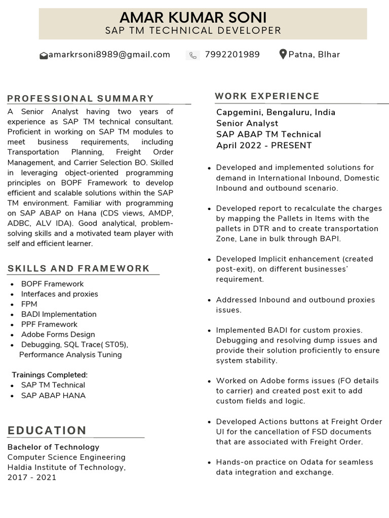 AMAR_SONI_SAP_TM-1 | PDF | Computer Engineering | Computing