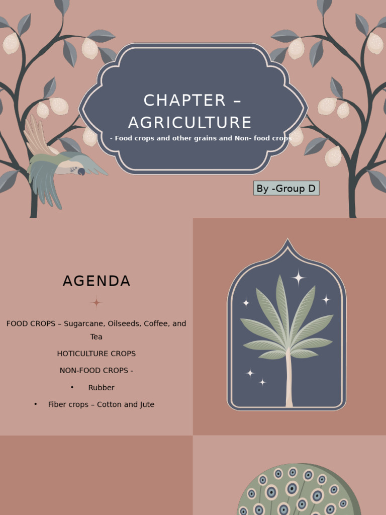Overview of Major Indian Crops | PDF | Natural Rubber | Sugarcane