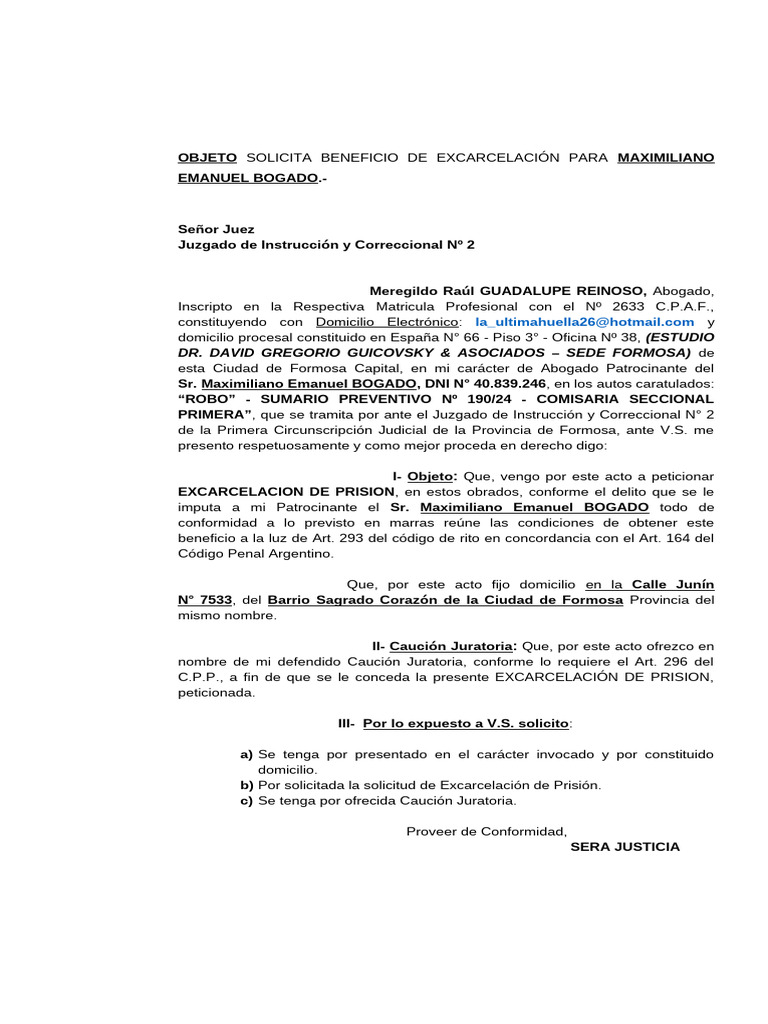 Excarcelación Modelo Pdf