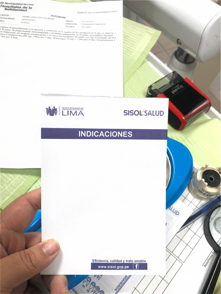 Sisol | PDF