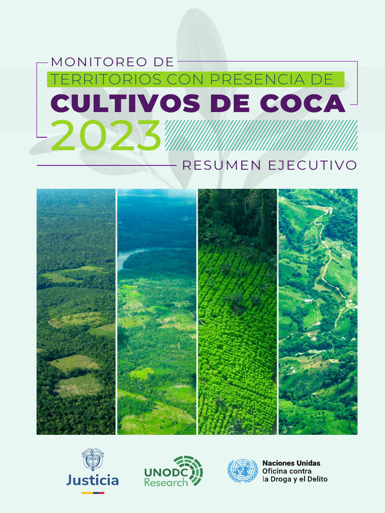 Colombia Monitoreo 2023 | PDF | Cocaína | Comercio ilegal de drogas