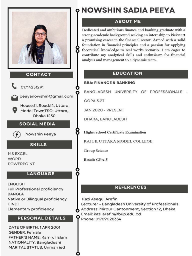 Professional CV Resume | PDF