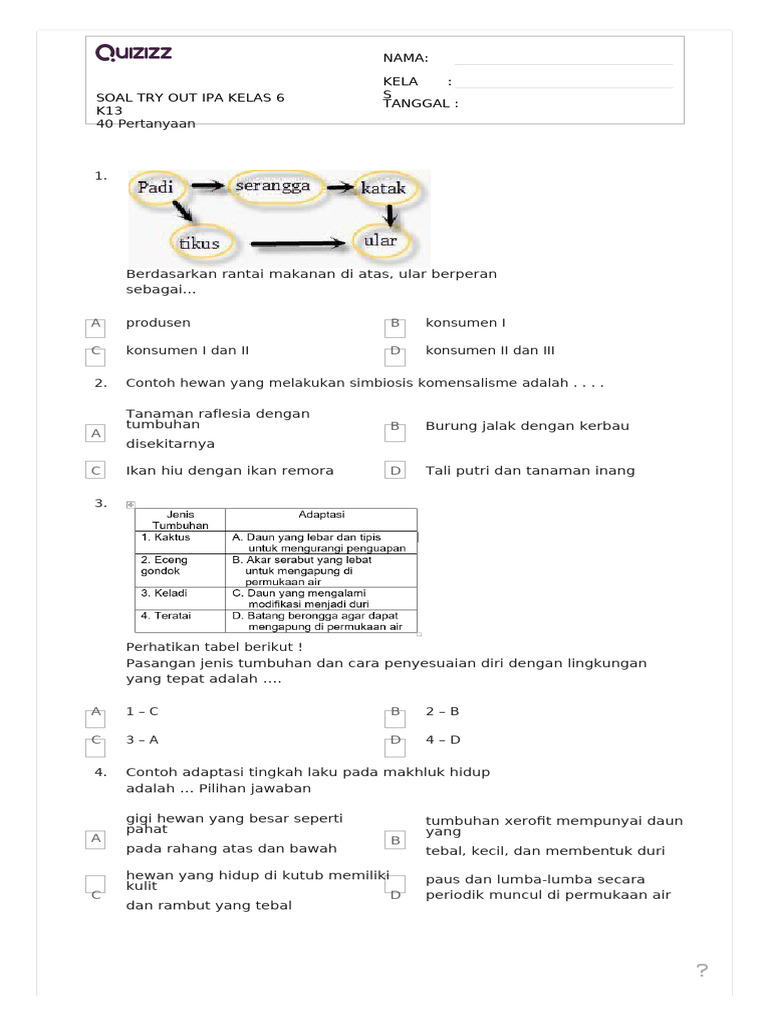 Try Out Ipa Kelas 6 k13 | PDF