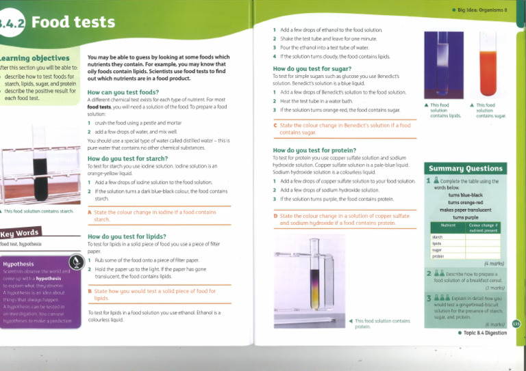 Food Tests 071521 | PDF