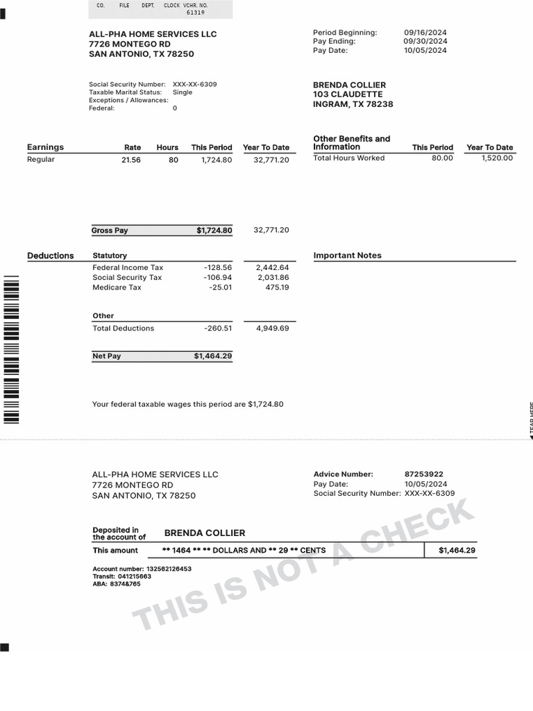 Payroll Summary for Brenda Collier | PDF | Social Security (United ...