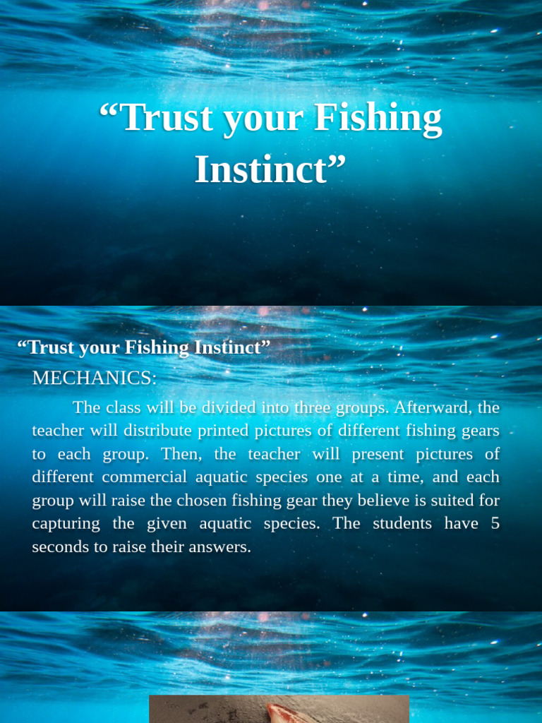 FISH CAPTURE PPT | PDF | Angling | Outdoor Recreation