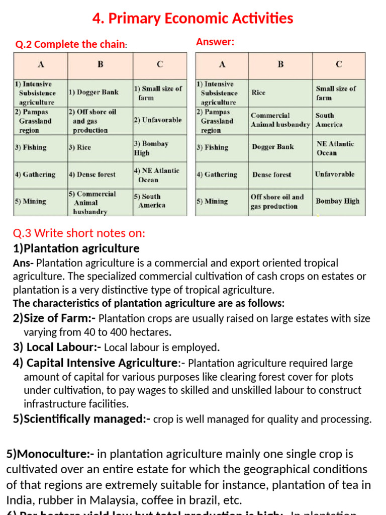 4 Primary Economic Activities Exercise | PDF | Agriculture | Plantation