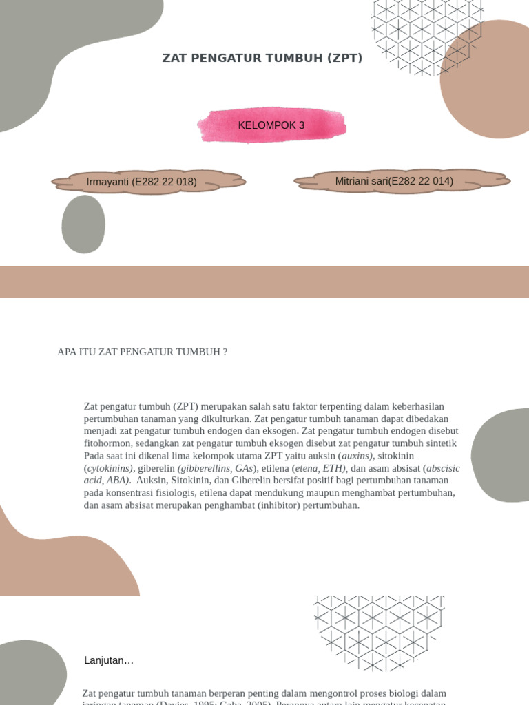 Klompok 3 ZPT | PDF | Kesehatan Holistik | Teknologi & Rekayasa