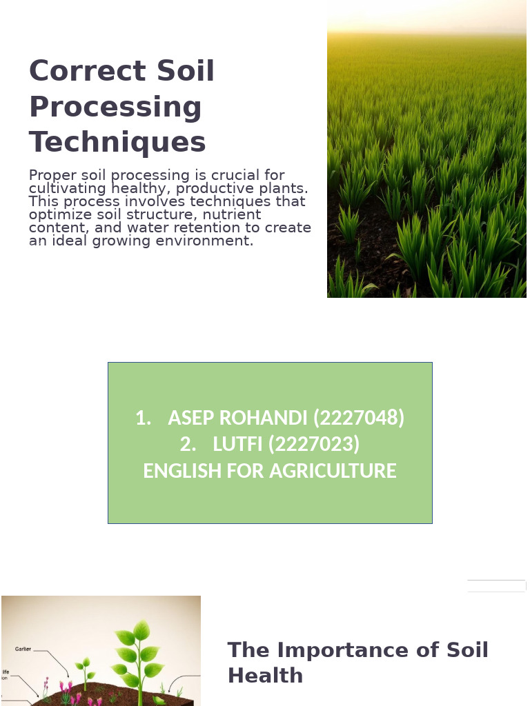 Correct Soil Processing Techniques | PDF | Soil | Tillage