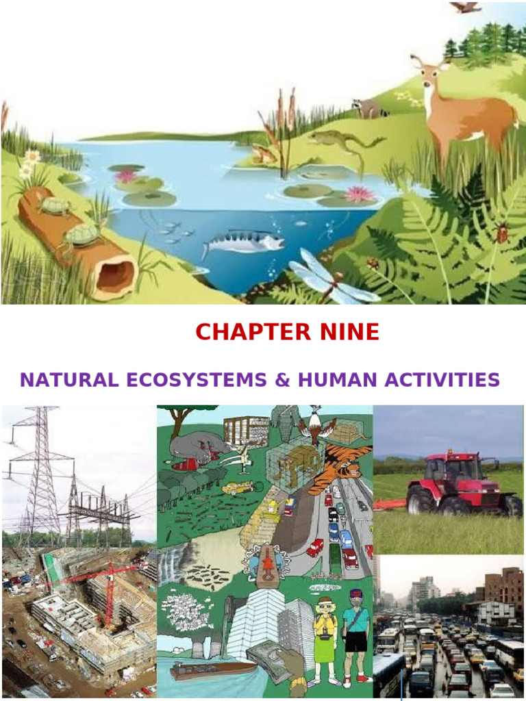 CH _9 NATURAL ECOSYSTEM CHAOTER 9 (Autosaved) | PDF | Ecosystem | Food Web