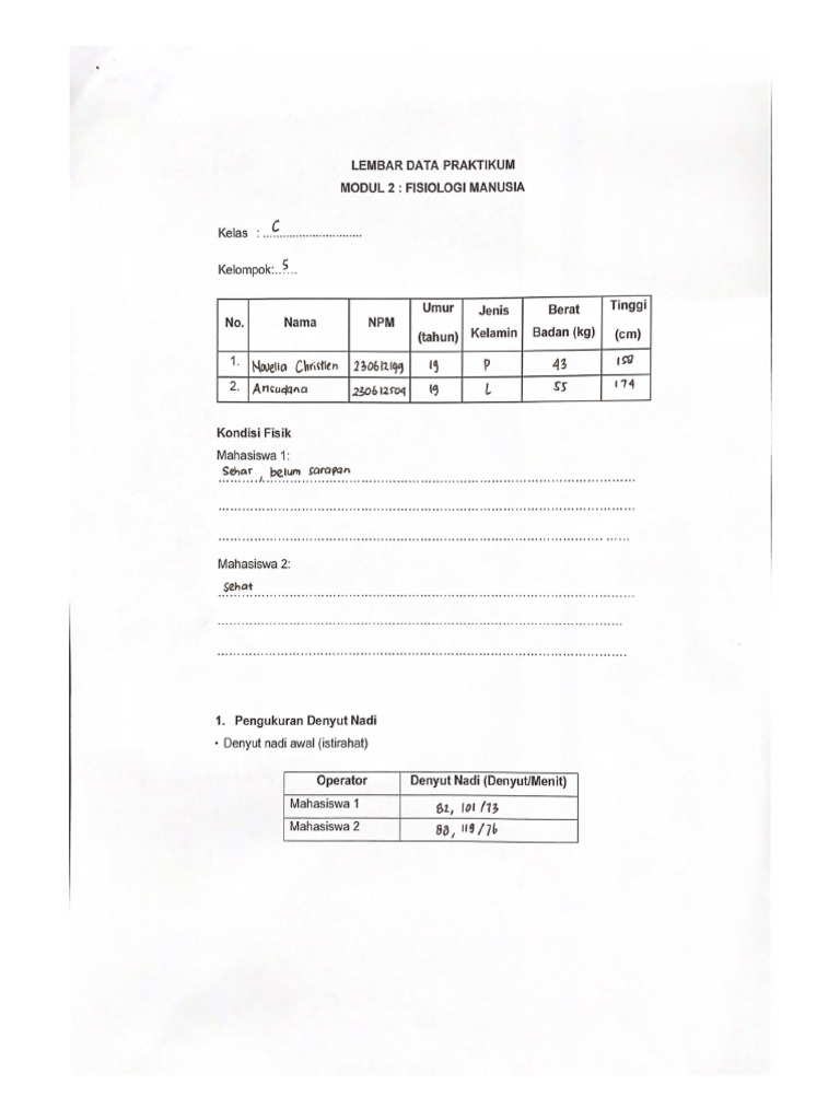 Lembar Data Praktikum | PDF