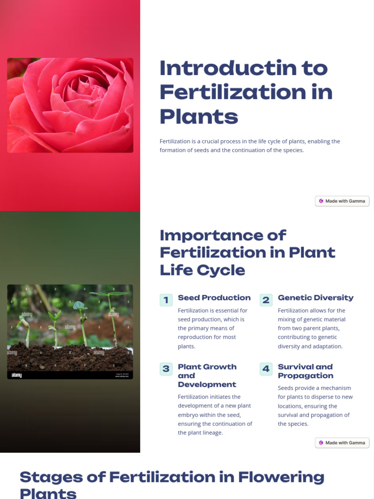 Introductin-to-Fertilization-in-Plants | PDF | Fertilisation | Seed