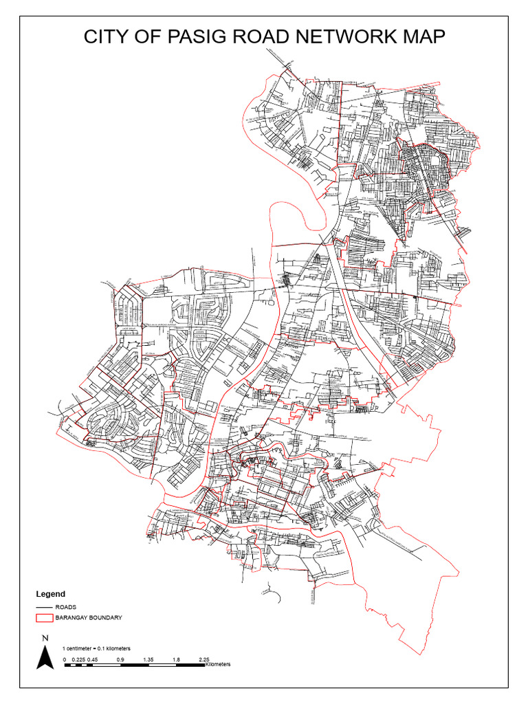 Pasig Road Network Map | PDF