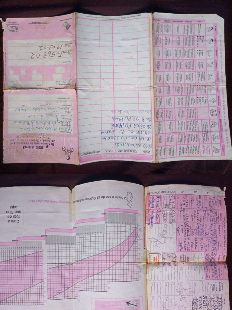 Carteira de Vacinação | PDF