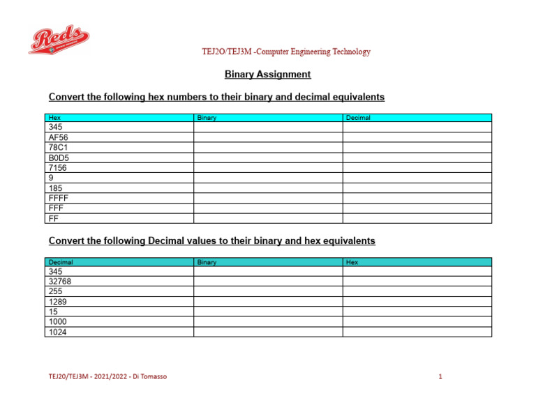 Binary Assignment | PDF