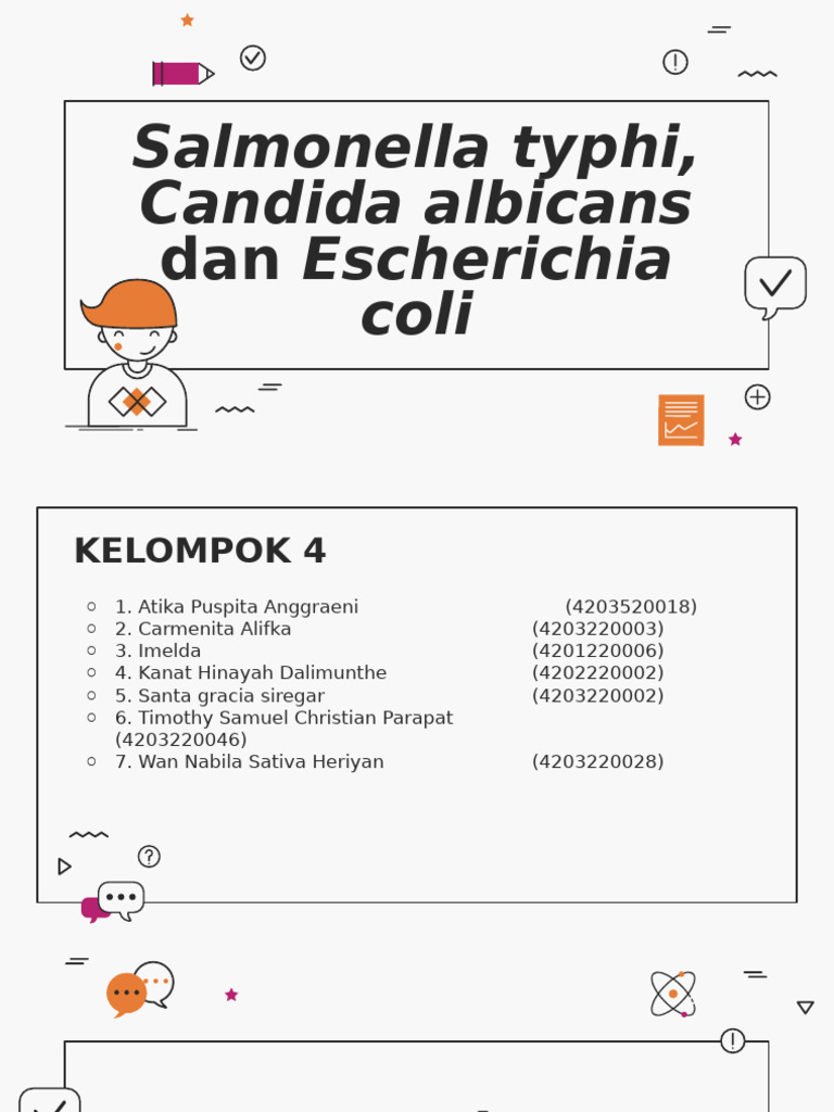 KELOMPOK 4 - PPT Salmonella Typhi, Candida Albicans Dan Escherichia ...