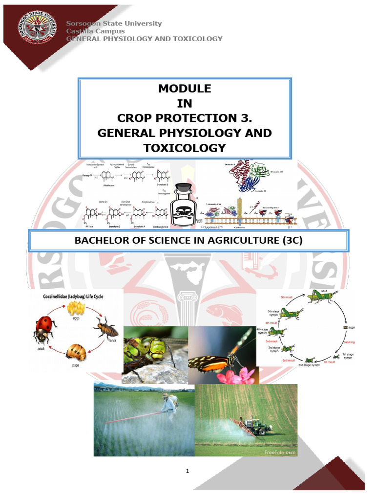 Insect Physiology and Toxicology Module | PDF | Insects | Gill