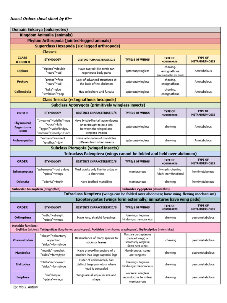 Insect Orders Classification Guide | PDF | Pest (Organism) | Beetle