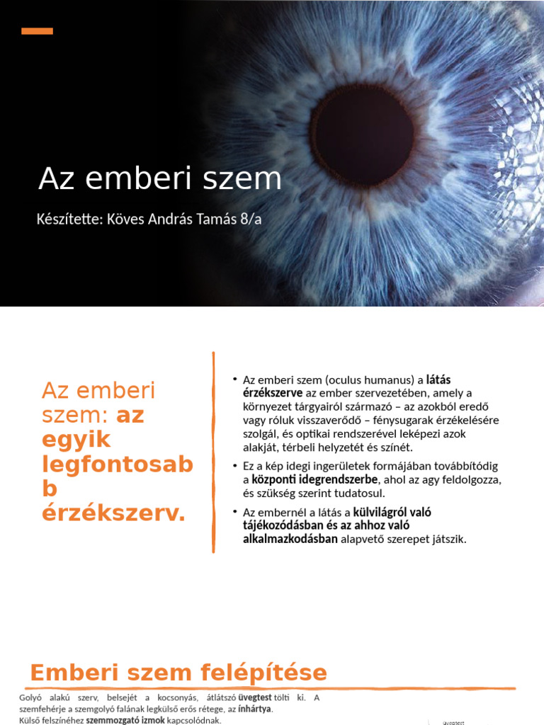 Az Emberi Szem - Köves András | PDF