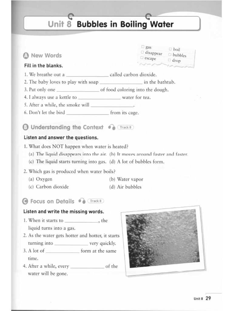 Dictation 8 - Boiling Water Bubbles | PDF