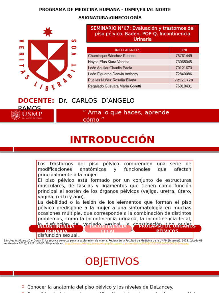 SEMINARIO N°7 - POPQ E INCONTINENCIA URINARIA | PDF | Pelvis | Útero