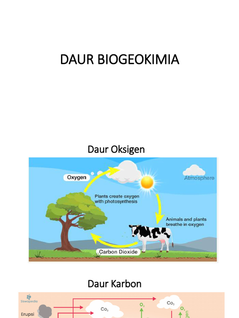 Daur Biogeokimia | PDF
