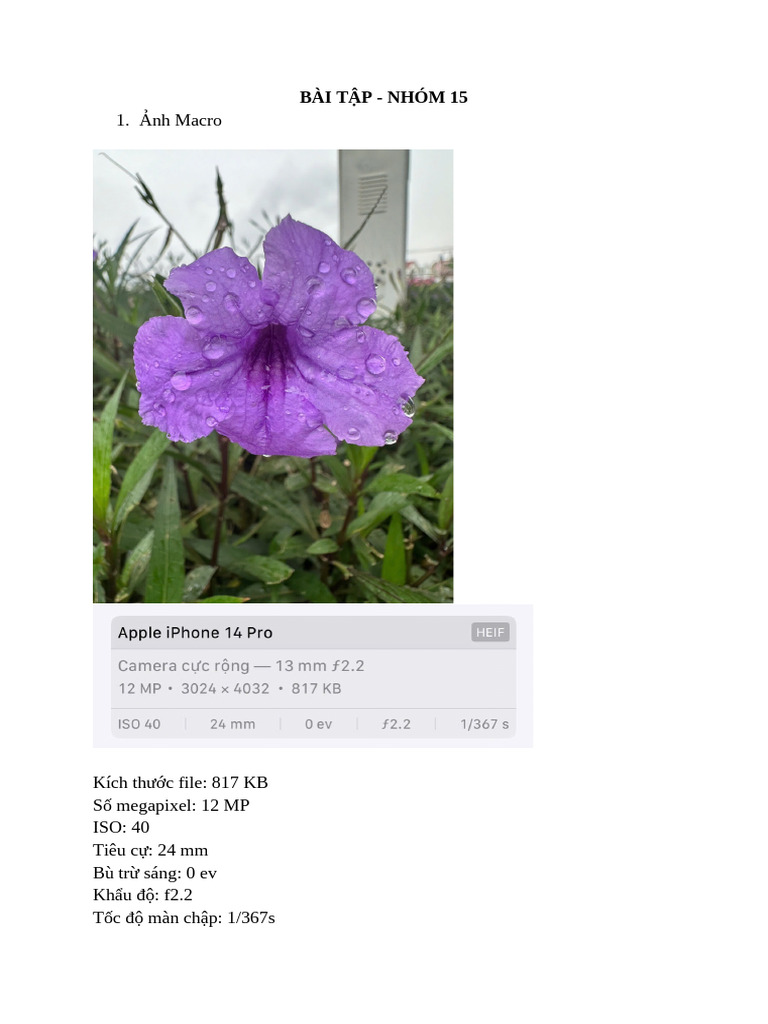 Nhóm 15 | PDF