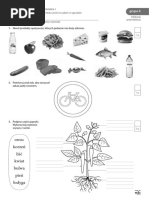 Kartkowka NR 1 Jezyk Polski kl2 Grupa B | PDF