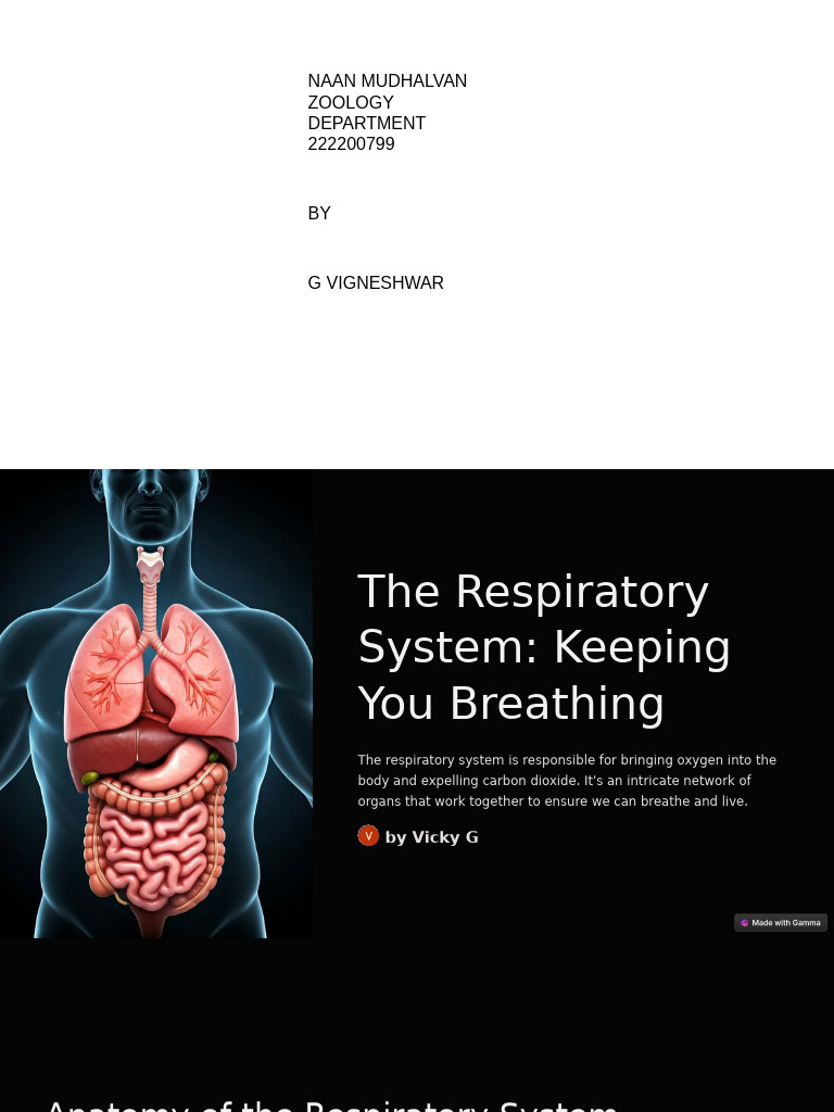 The-Respiratory-System-Keeping-You-Breathing | PDF | Respiratory Tract ...