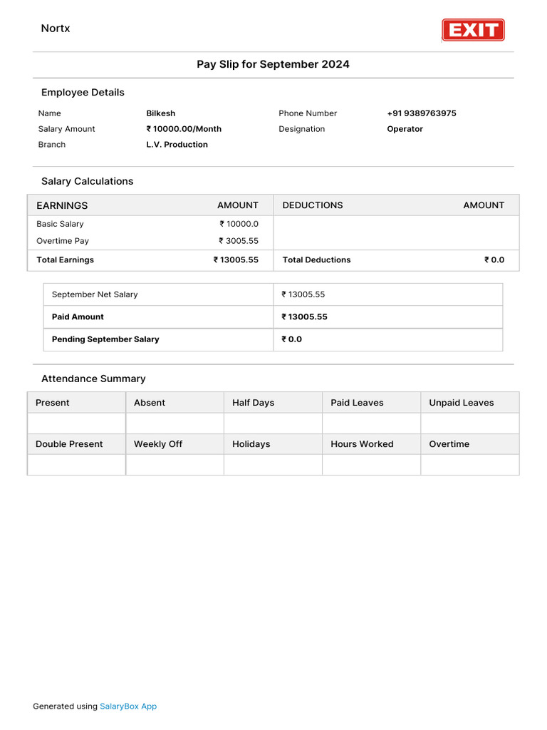 September 2024 Pay Slip for Bilkesh | PDF | Overtime | Salary