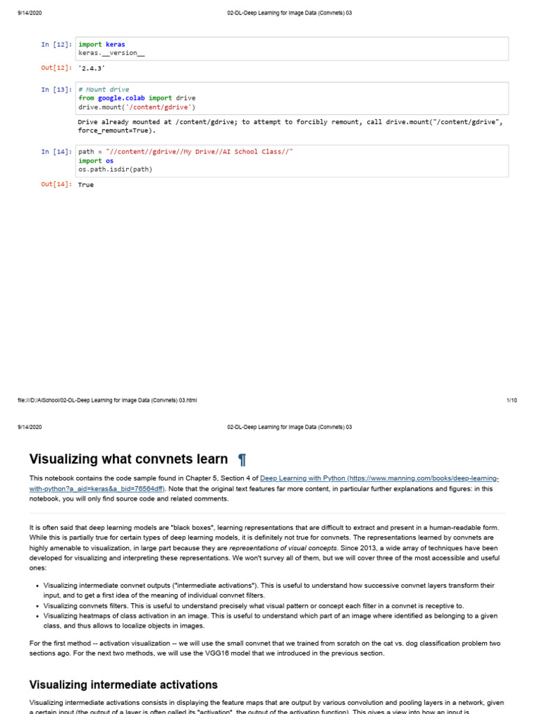 Visualizing Convnet Activations | PDF | Applied Mathematics | Artificial Intelligence